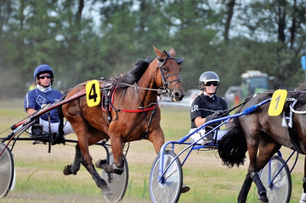 Trabrennen – Alles zum Trabrennsport zu Pferde