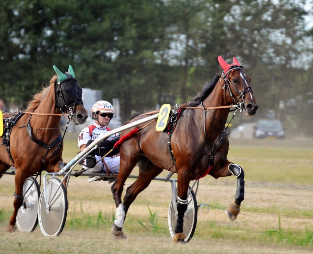 Trabrennen – Alles zum Trabrennsport zu Pferde